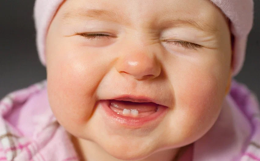 How Many Teeth Does the Milk Dentition Have? | LEMA